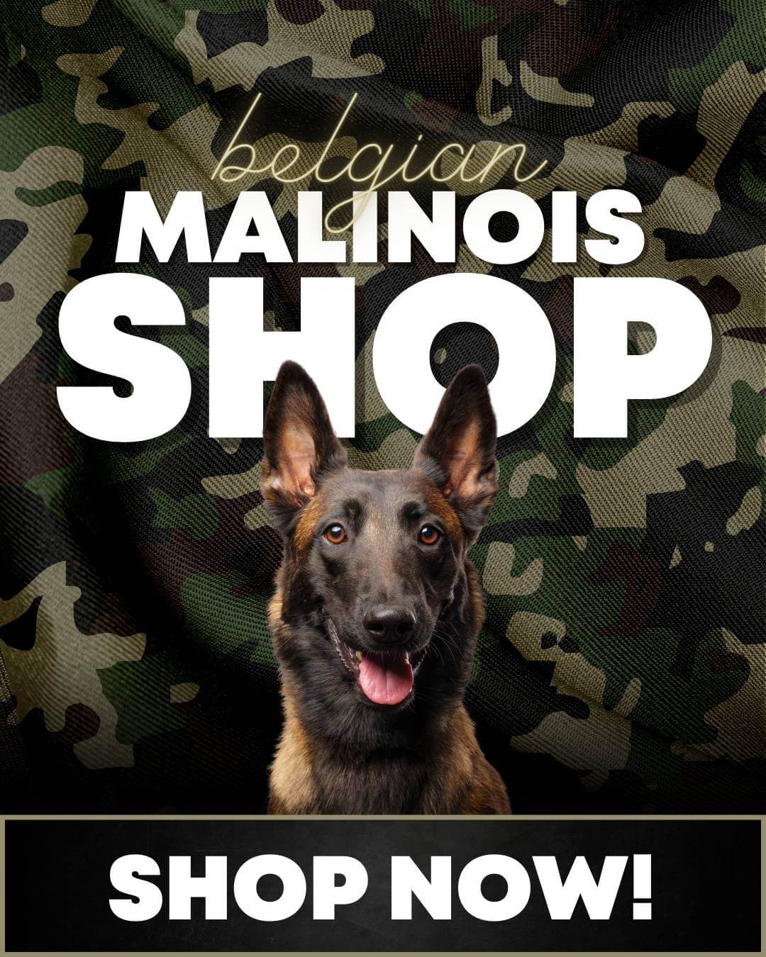 Belgian Malinois Store - Unleash Your Mal's True Potential!