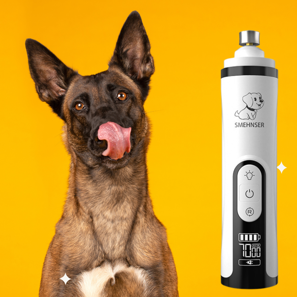 Belgian Malinois SHOP - Ultimate Destination for Malinois Gear!