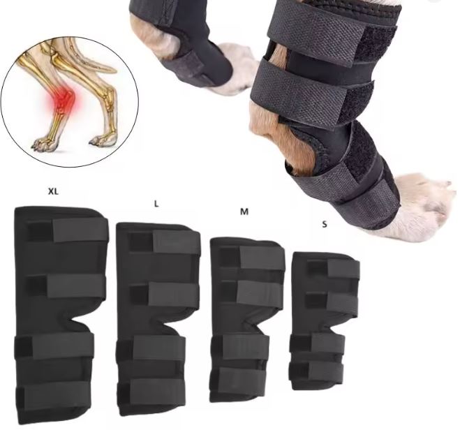 Belgian Malinois Knee Bandage: Knee Support For Malawa Dogs